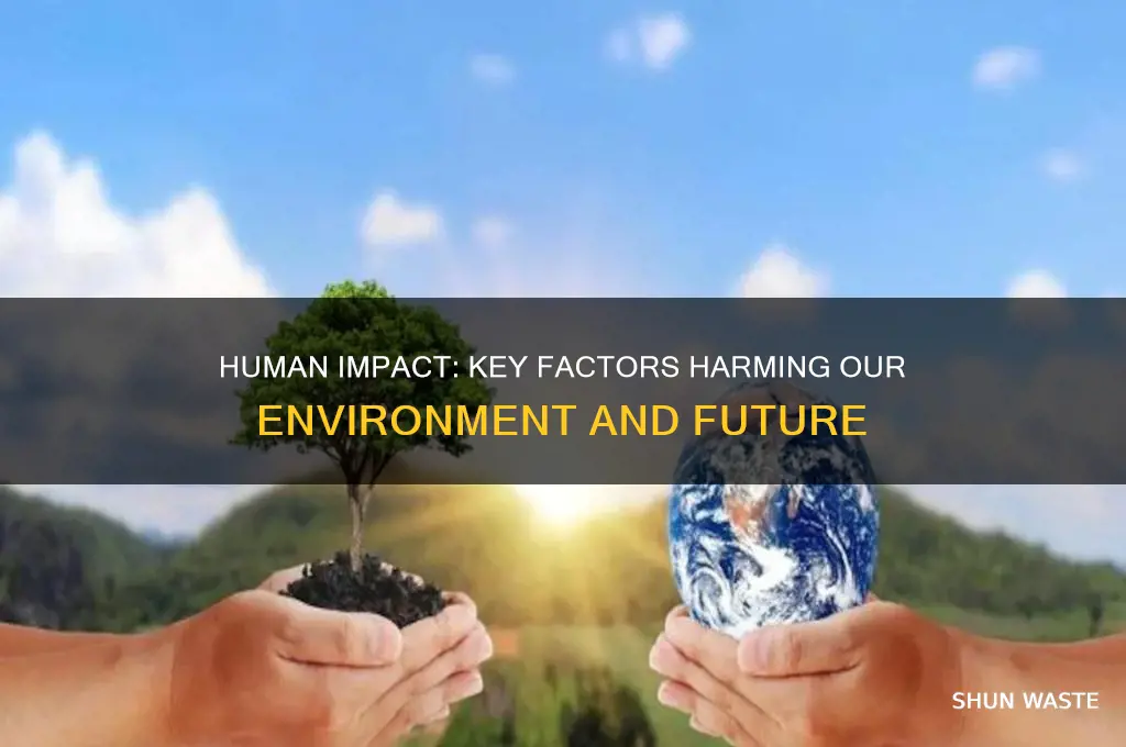 Human Impact: Key Factors Harming Our Environment And Future | ShunWaste