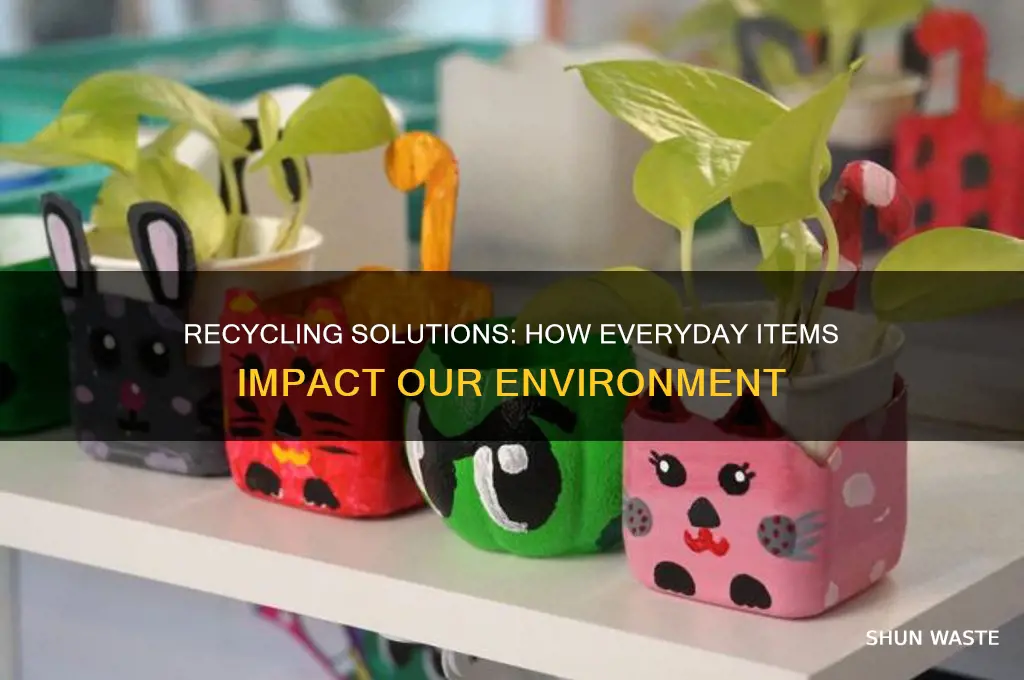 Recycling Solutions: How Everyday Items Impact Our Environment | ShunWaste