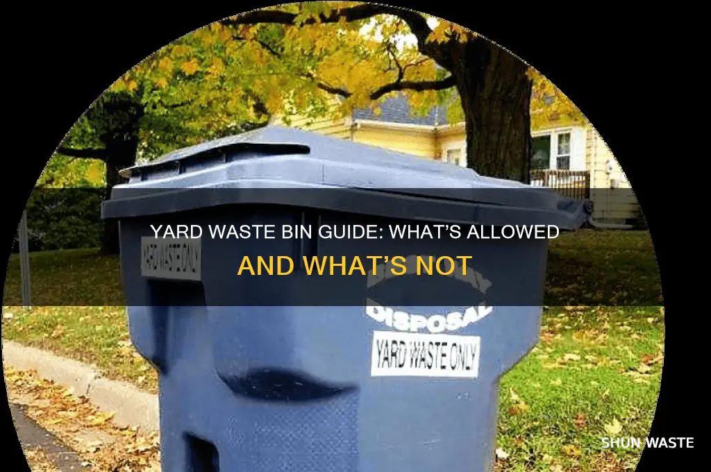 Yard Waste Bin Guide: What’S Allowed And What’S Not | ShunWaste