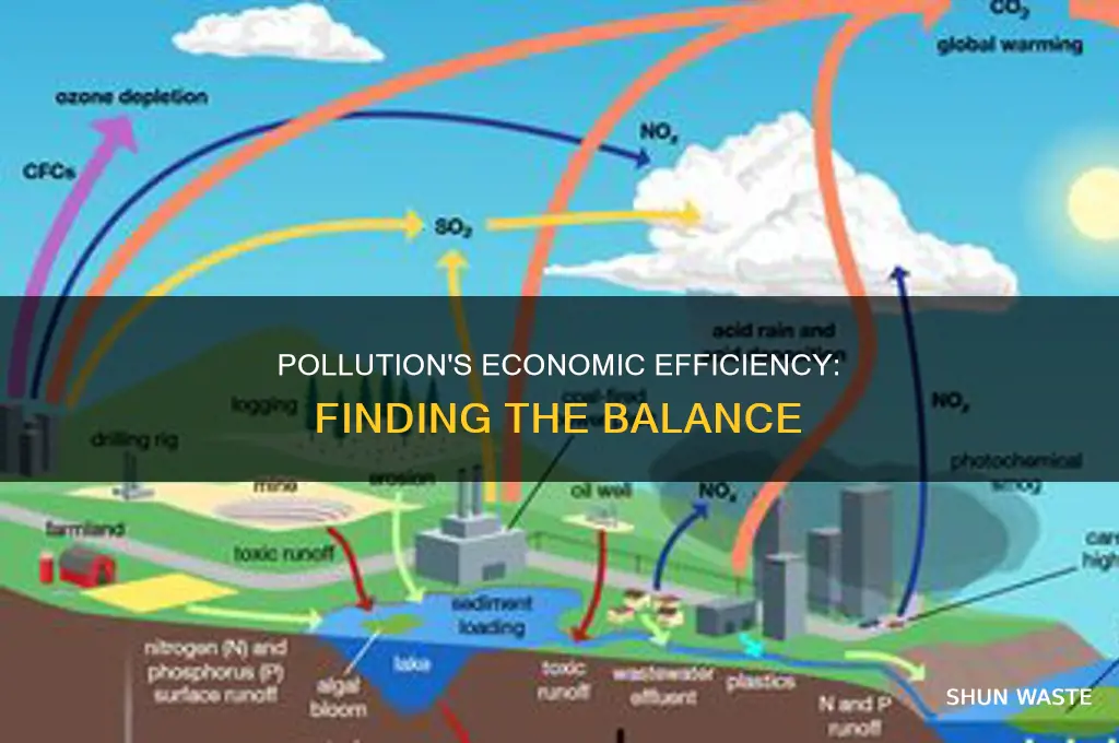 Pollution's Economic Efficiency: Finding The Balance | ShunWaste