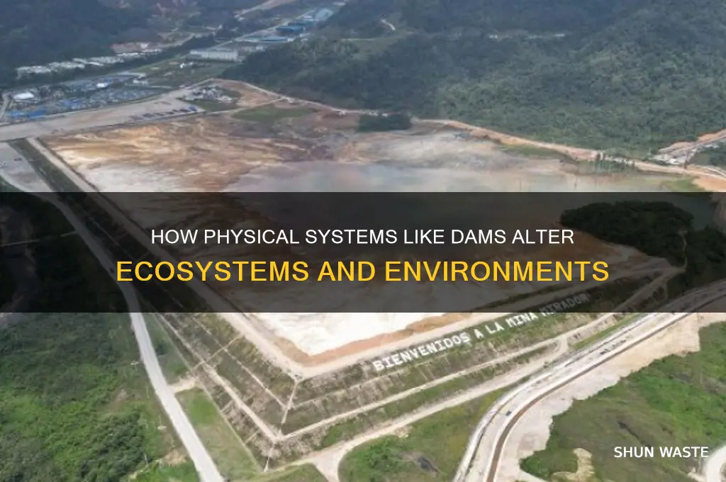 How Physical Systems Like Dams Alter Ecosystems And Environments ...