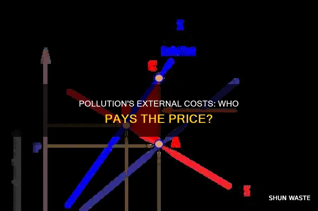 Pollution's External Costs: Who Pays The Price? | ShunWaste