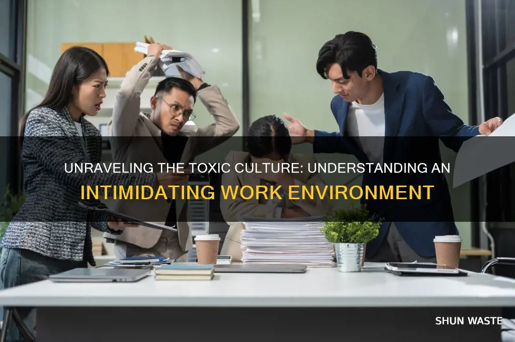 Unraveling The Toxic Culture: Understanding An Intimidating Work ...