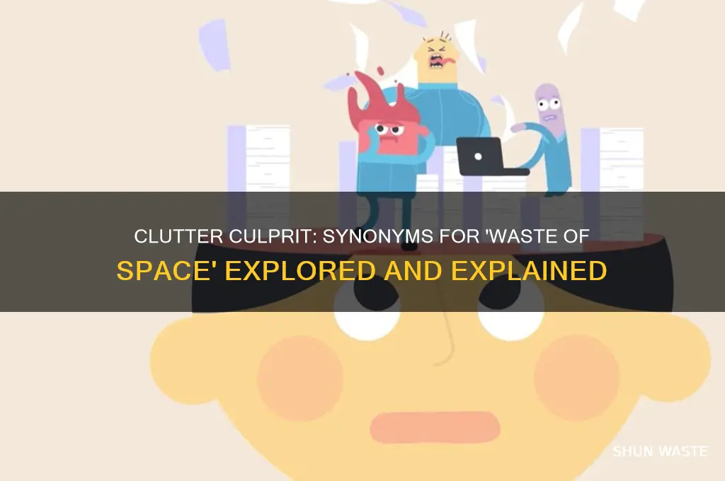 Clutter Culprit: Synonyms For 'Waste Of Space' Explored And Explained ...