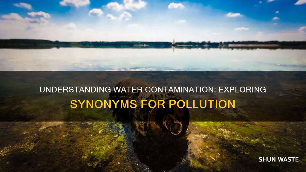 Understanding Water Contamination: Exploring Synonyms For Pollution ...