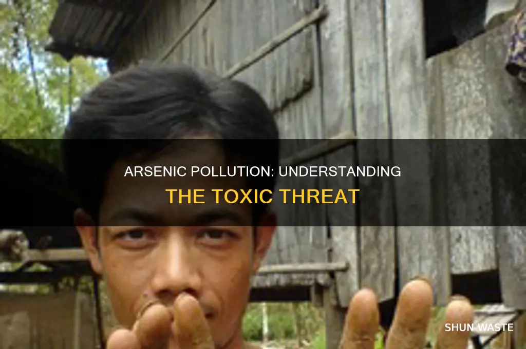 Arsenic Pollution: Understanding The Toxic Threat | ShunWaste