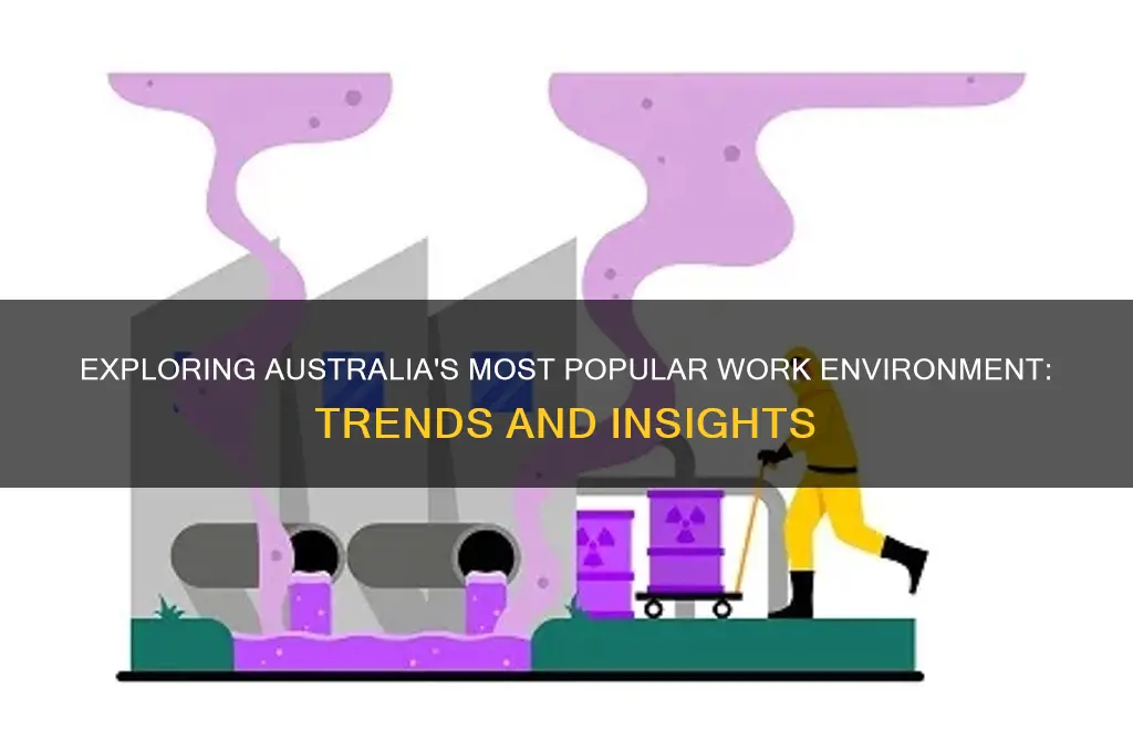 Exploring Australia's Most Popular Work Environment: Trends And ...