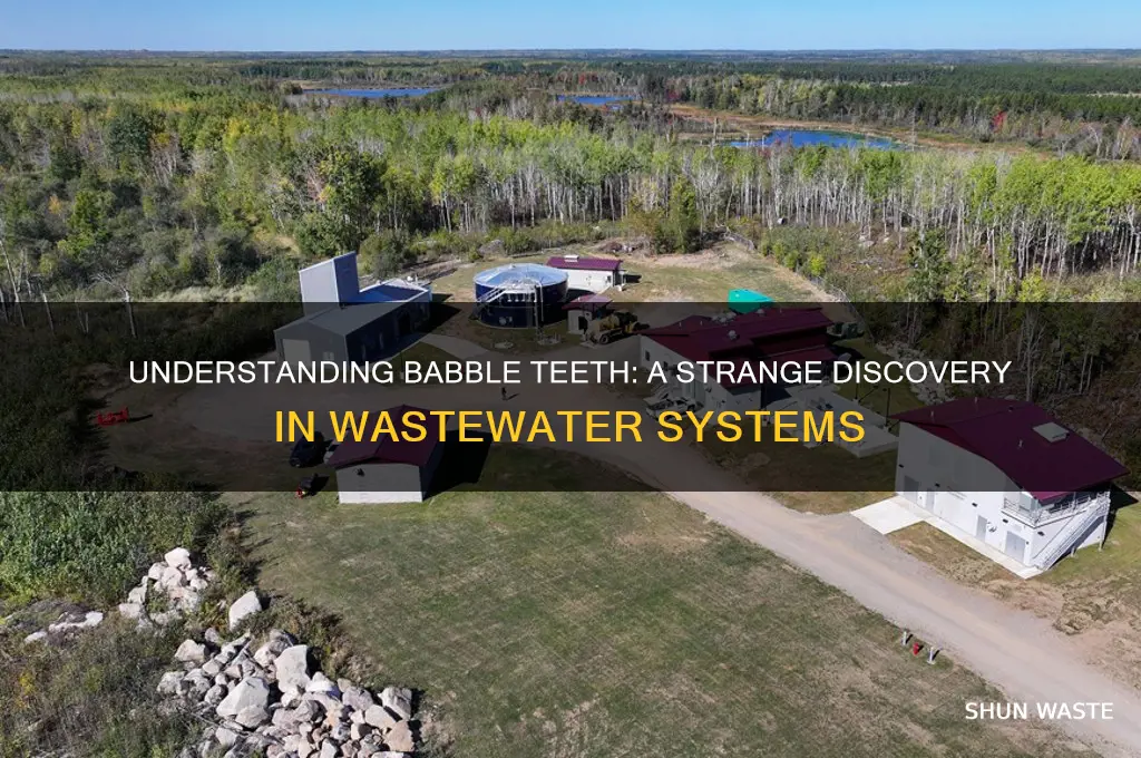 Understanding Babble Teeth: A Strange Discovery In Wastewater Systems ...