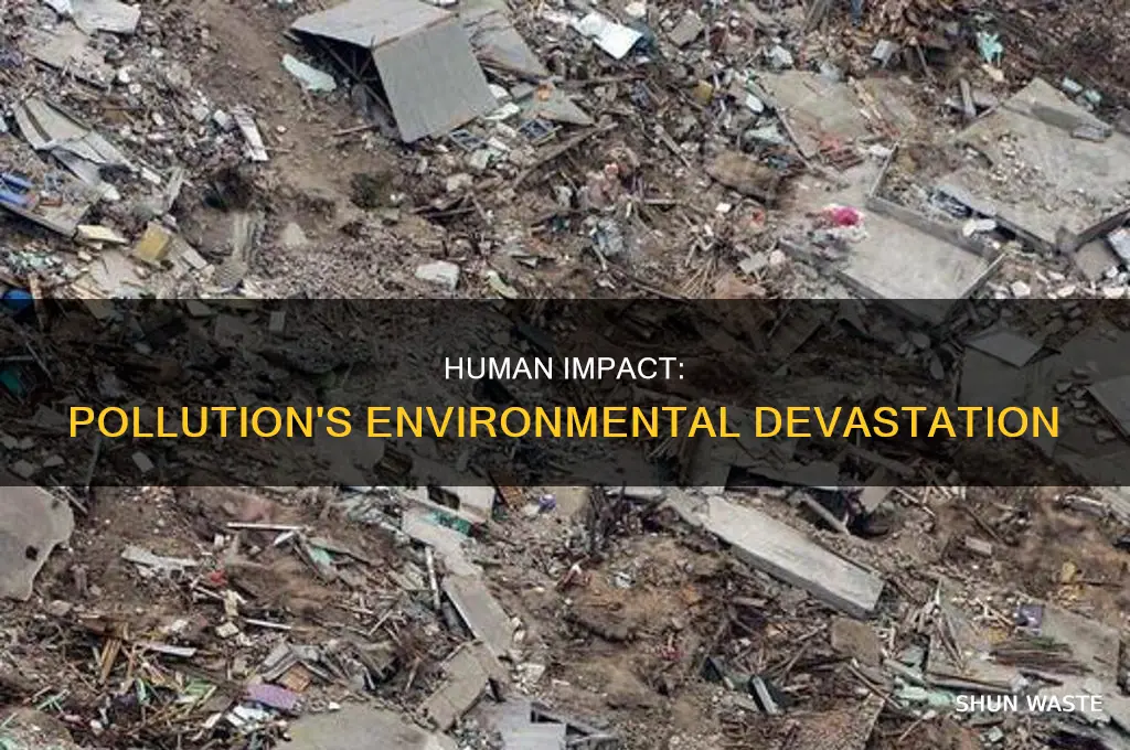 Human Impact: Pollution's Environmental Devastation | ShunWaste