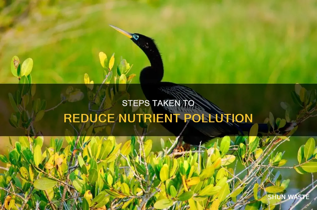 Steps Taken To Reduce Nutrient Pollution | ShunWaste