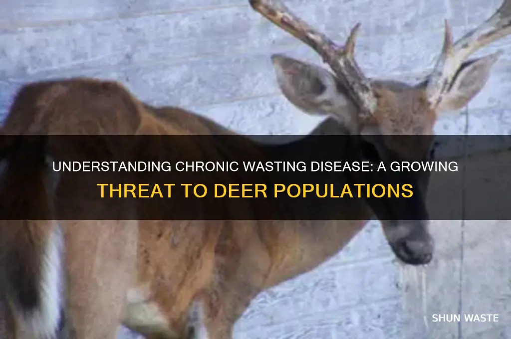 Understanding Chronic Wasting Disease: A Growing Threat To Deer ...