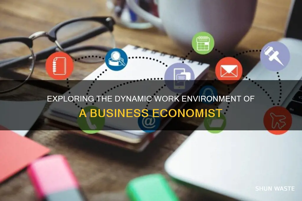 Exploring The Dynamic Work Environment Of A Business Economist | ShunWaste