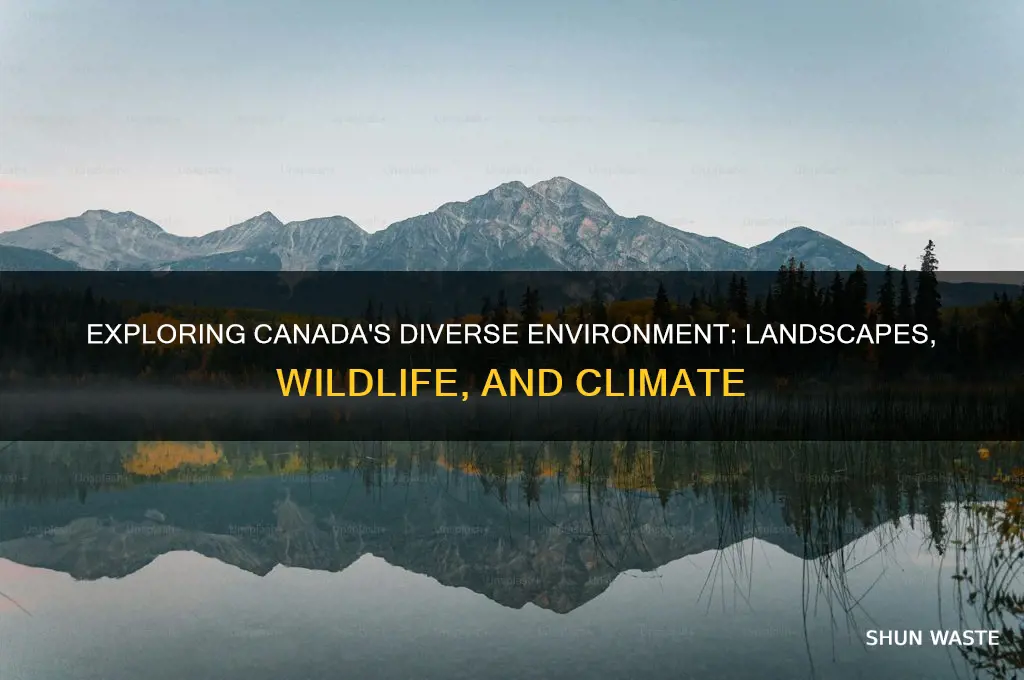 Exploring Canada's Diverse Environment: Landscapes, Wildlife, And ...