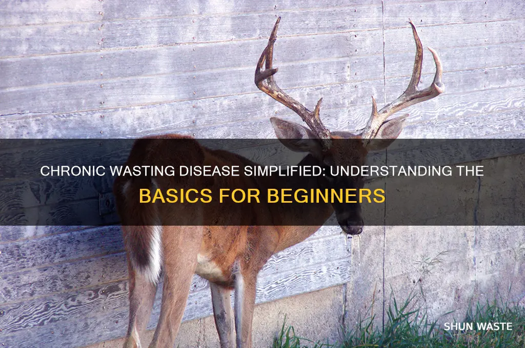 Chronic Wasting Disease Simplified: Understanding The Basics For ...