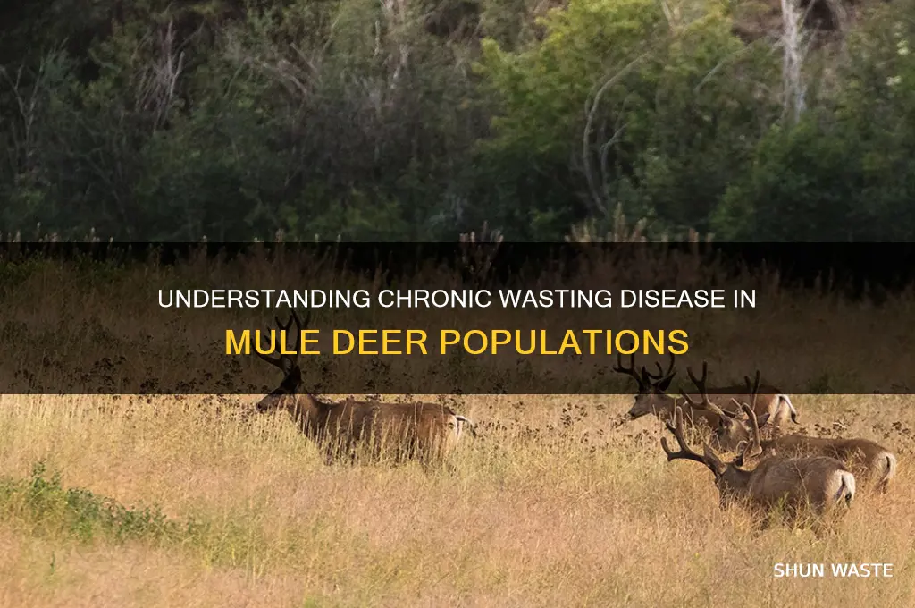 Understanding Chronic Wasting Disease In Mule Deer Populations | ShunWaste
