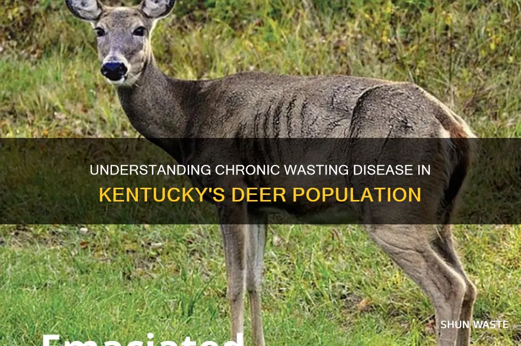 Understanding Chronic Wasting Disease In Kentucky's Deer Population ...