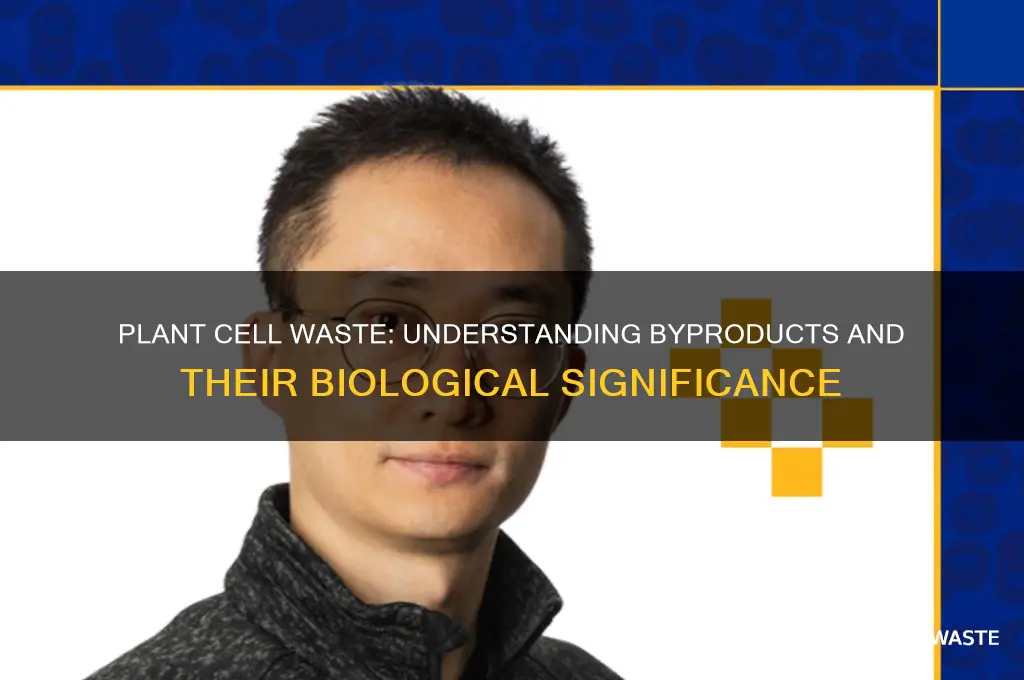 Plant Cell Waste: Understanding Byproducts And Their Biological ...