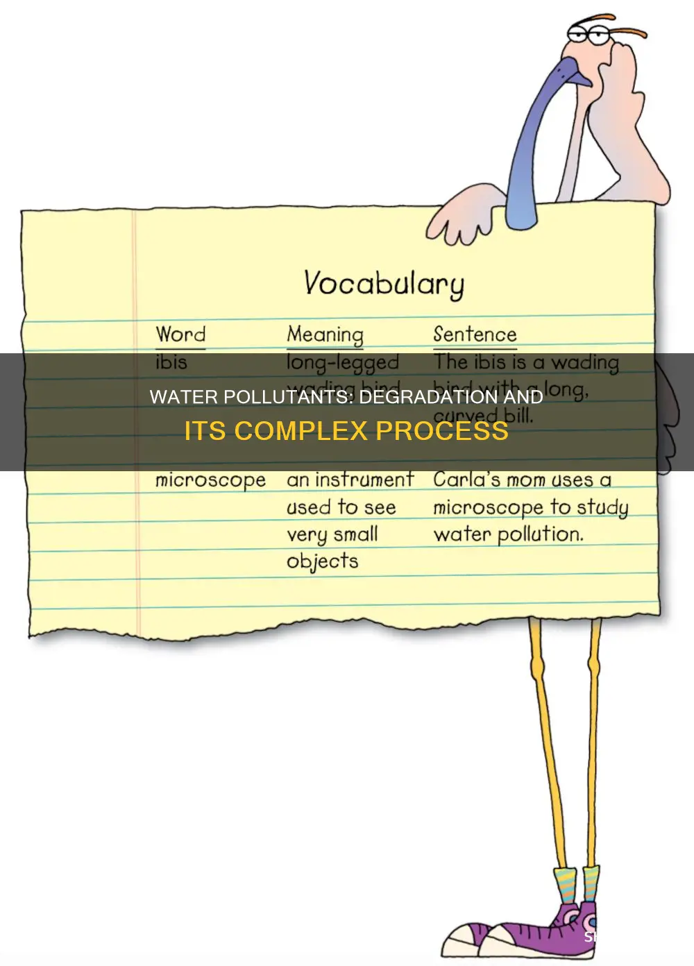 Water Pollutants: Degradation And Its Complex Process | ShunWaste