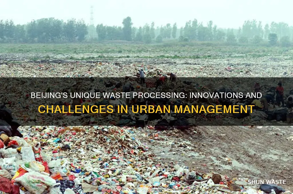 Beijing's Unique Waste Processing: Innovations And Challenges In Urban ...
