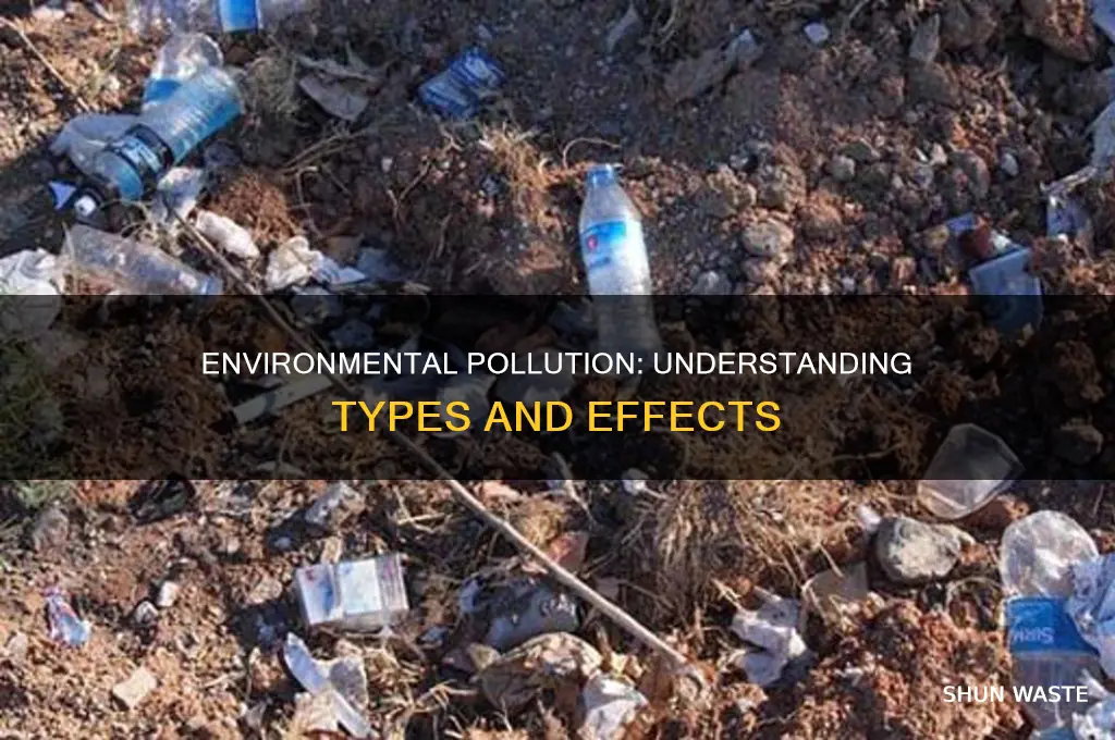Environmental Pollution: Understanding Types And Effects | ShunWaste