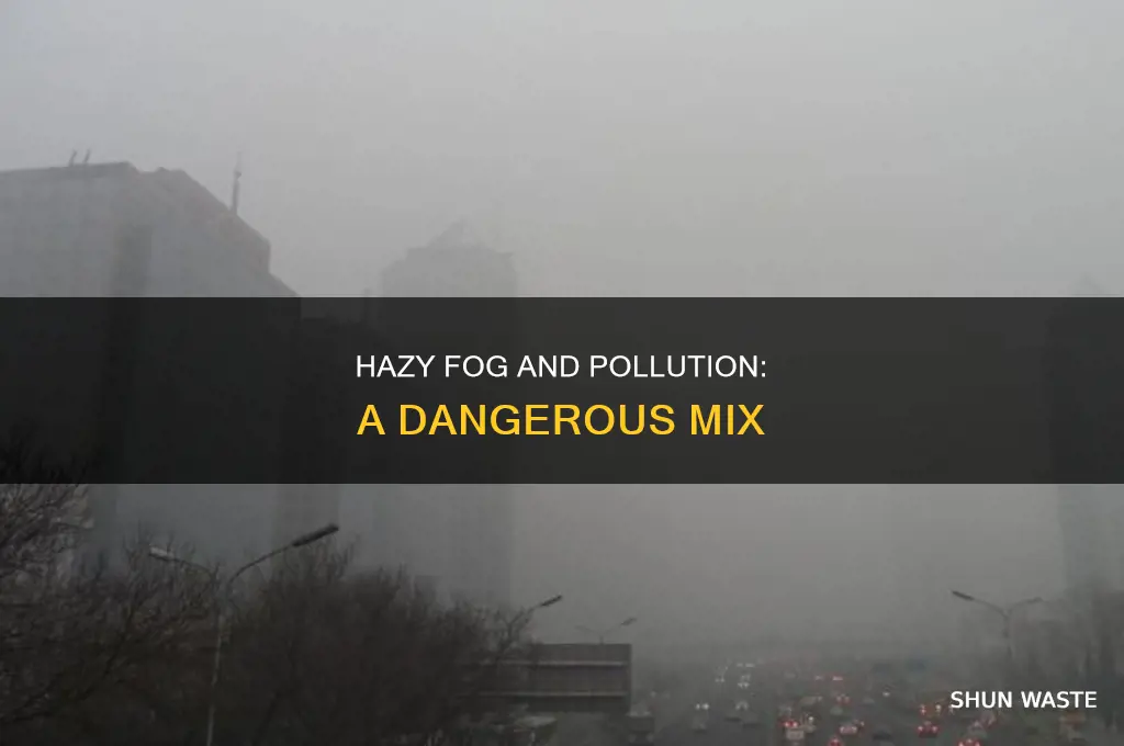 Hazy Fog And Pollution: A Dangerous Mix | ShunWaste