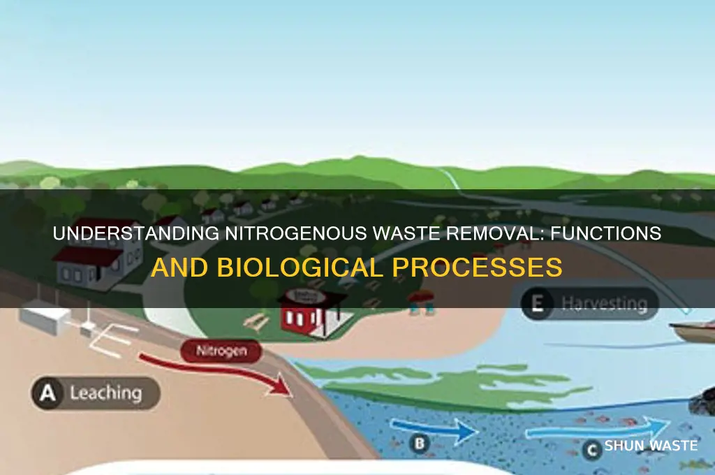Understanding Nitrogenous Waste Removal: Functions And Biological ...
