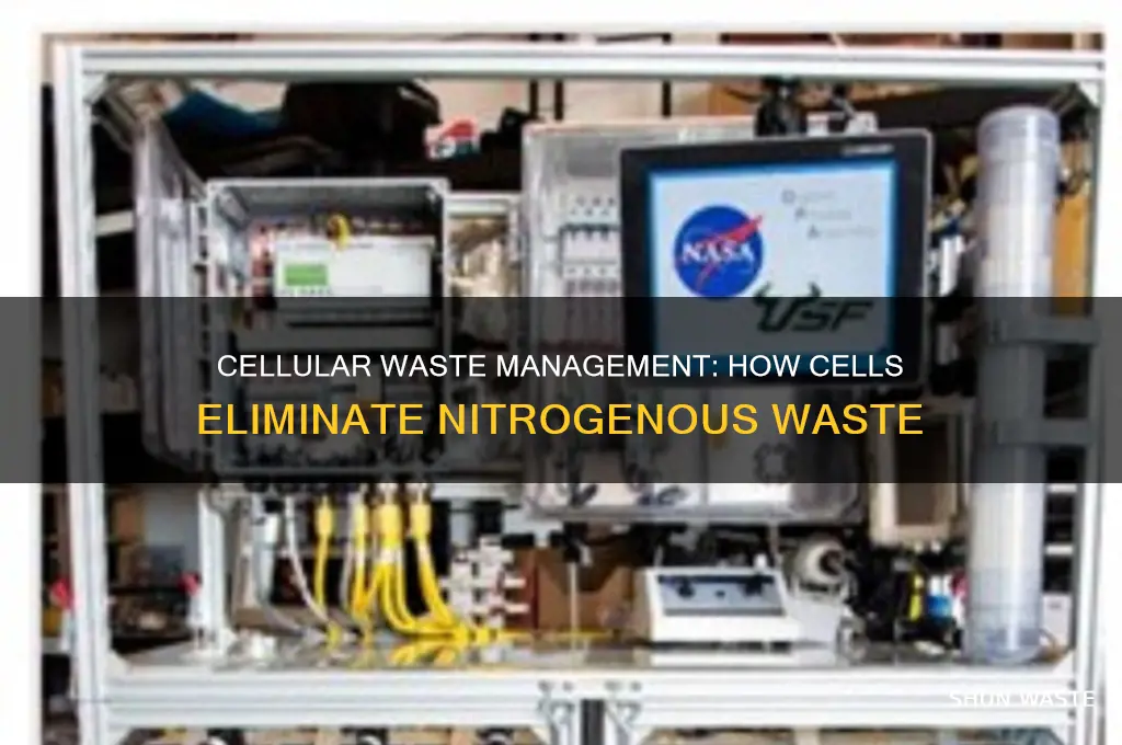 Cellular Waste Management: How Cells Eliminate Nitrogenous Waste ...