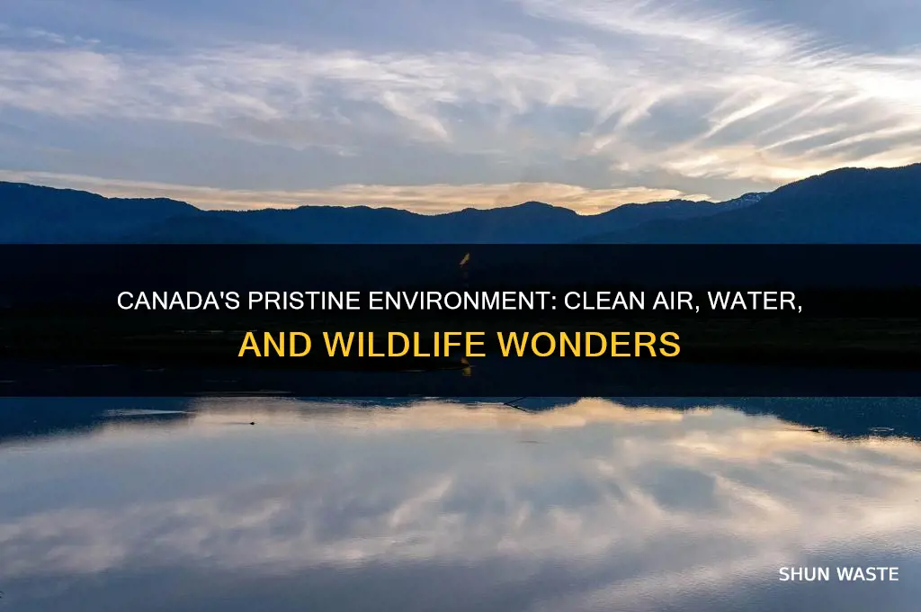 Canada's Pristine Environment: Clean Air, Water, And Wildlife Wonders ...