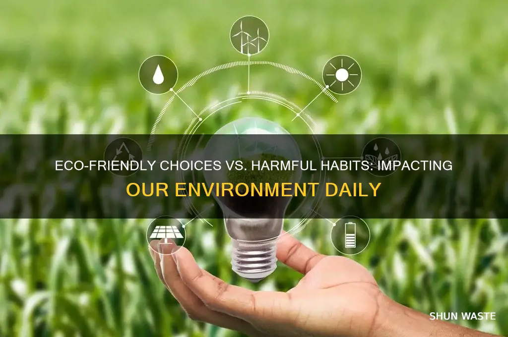 Eco-Friendly Choices Vs. Harmful Habits: Impacting Our Environment ...