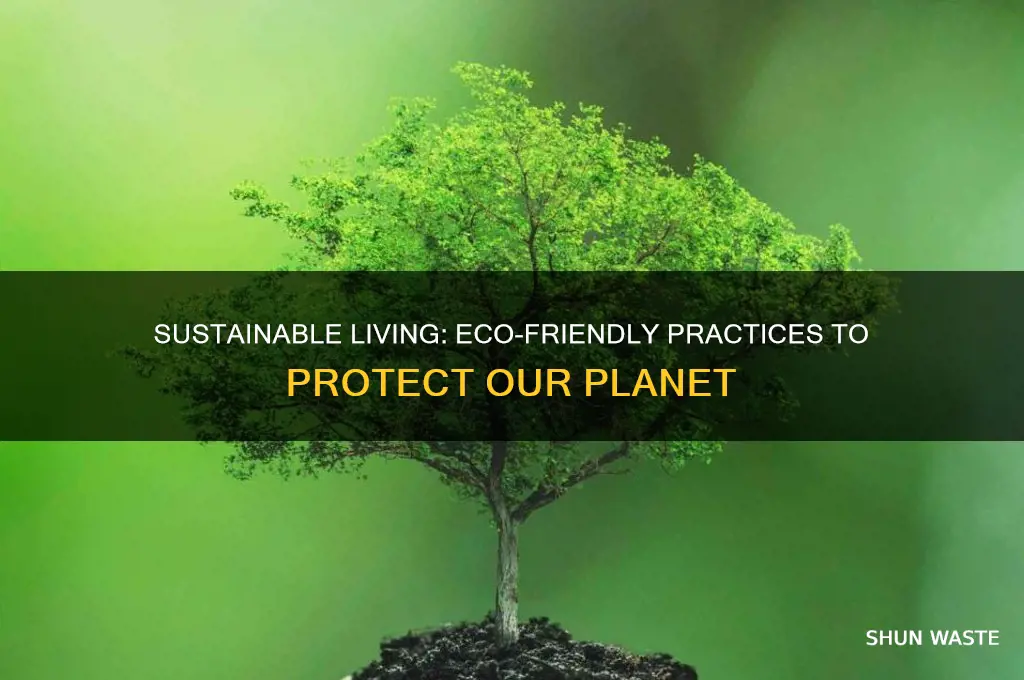 Sustainable Living: Eco-Friendly Practices To Protect Our Planet ...