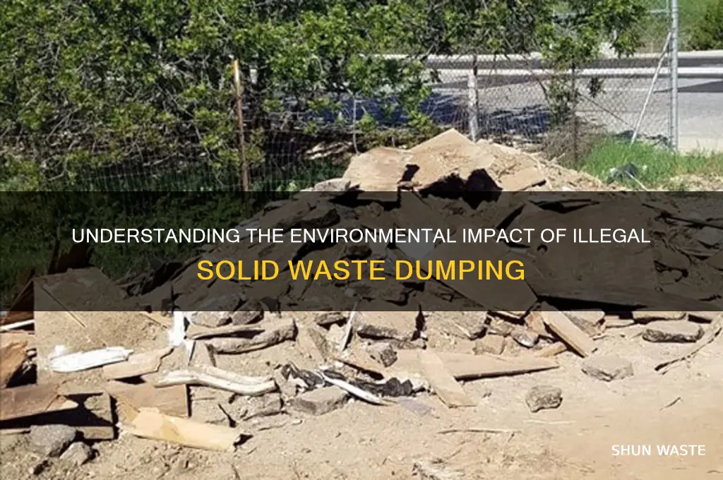 Understanding The Environmental Impact Of Illegal Solid Waste Dumping ...