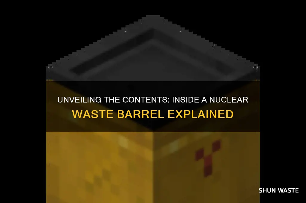 Unveiling The Contents: Inside A Nuclear Waste Barrel Explained | ShunWaste
