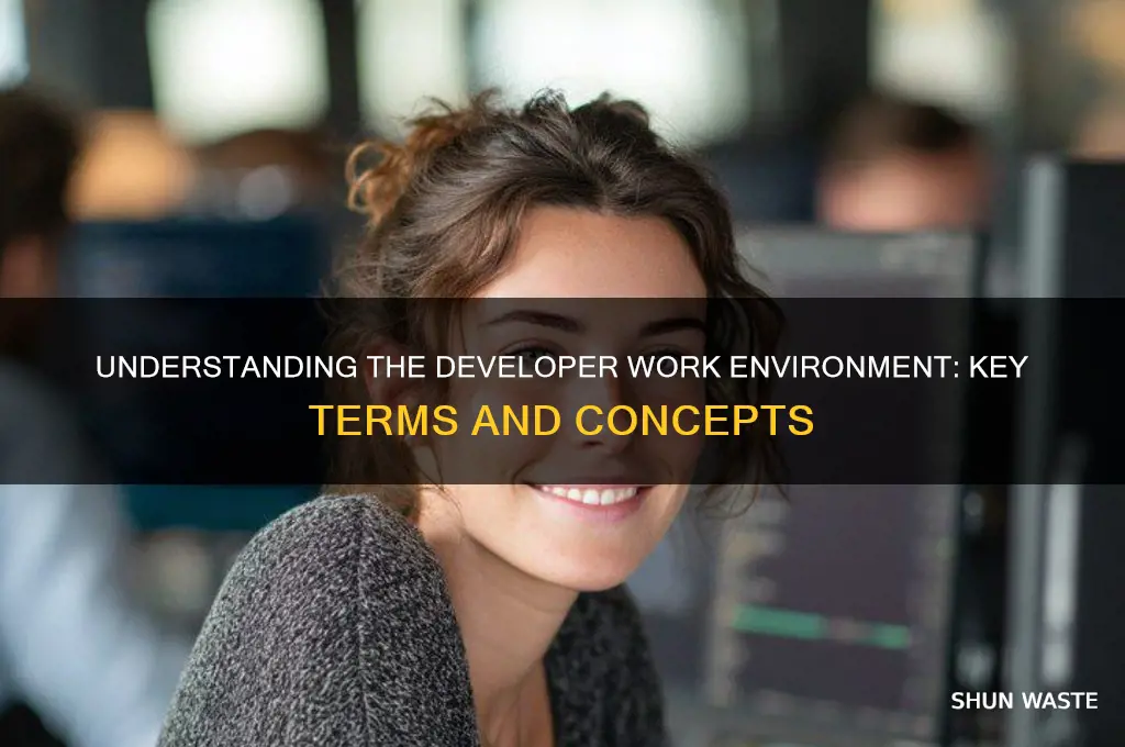 Understanding The Developer Work Environment: Key Terms And Concepts ...