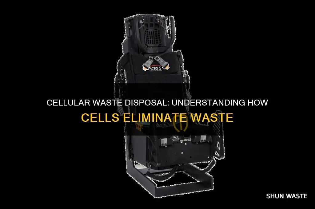 Cellular Waste Disposal: Understanding How Cells Eliminate Waste ...