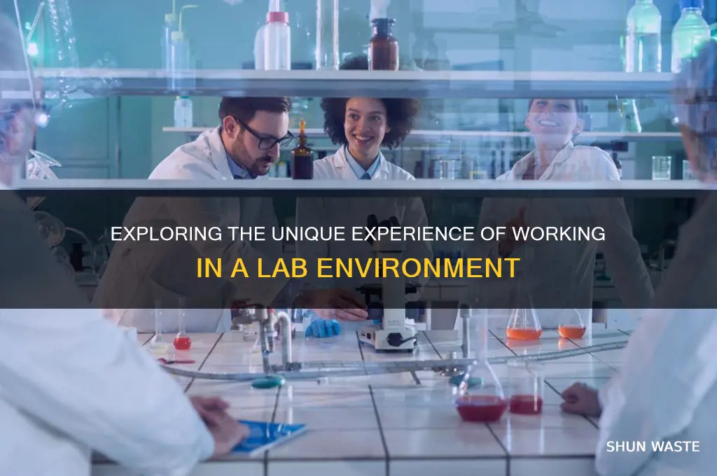 Exploring The Unique Experience Of Working In A Lab Environment | ShunWaste