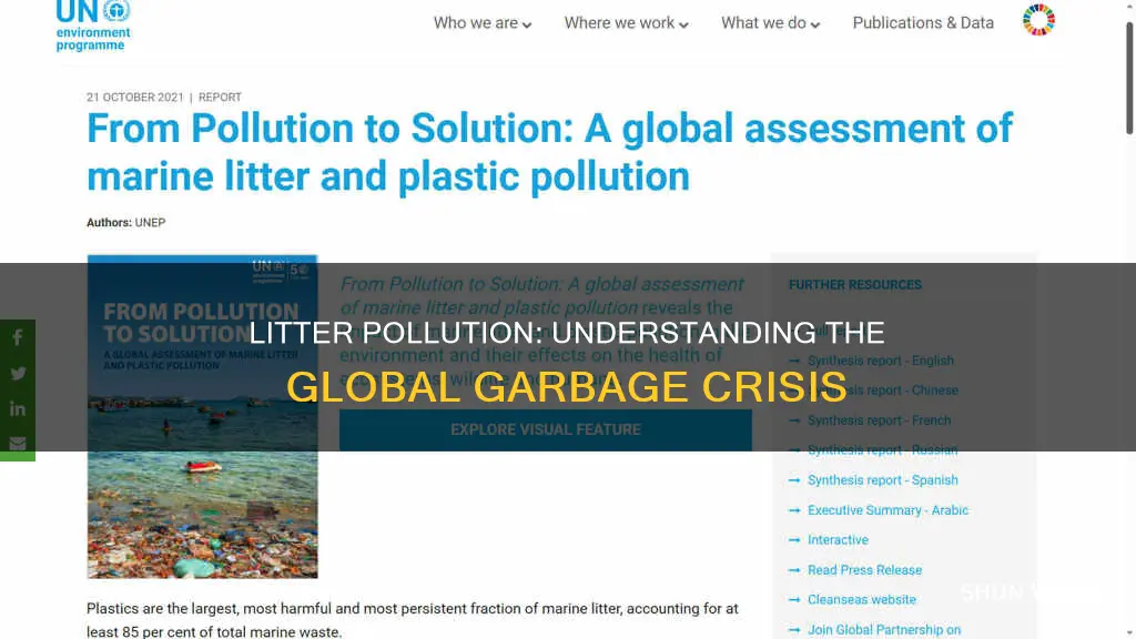 Litter Pollution: Understanding The Global Garbage Crisis | ShunWaste