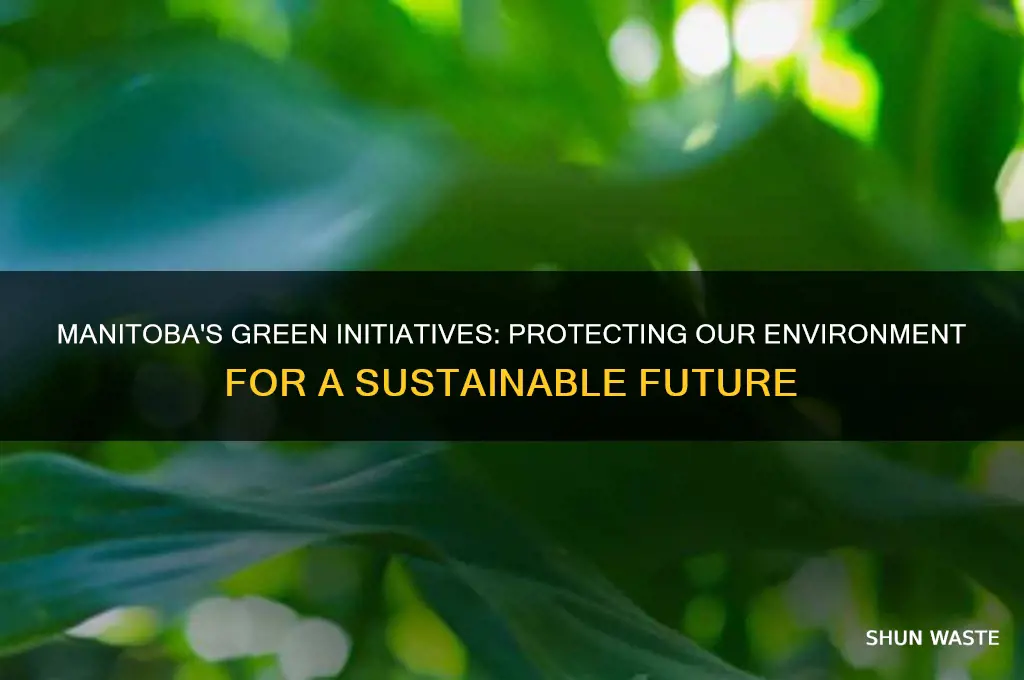 Manitoba's Green Initiatives: Protecting Our Environment For A ...