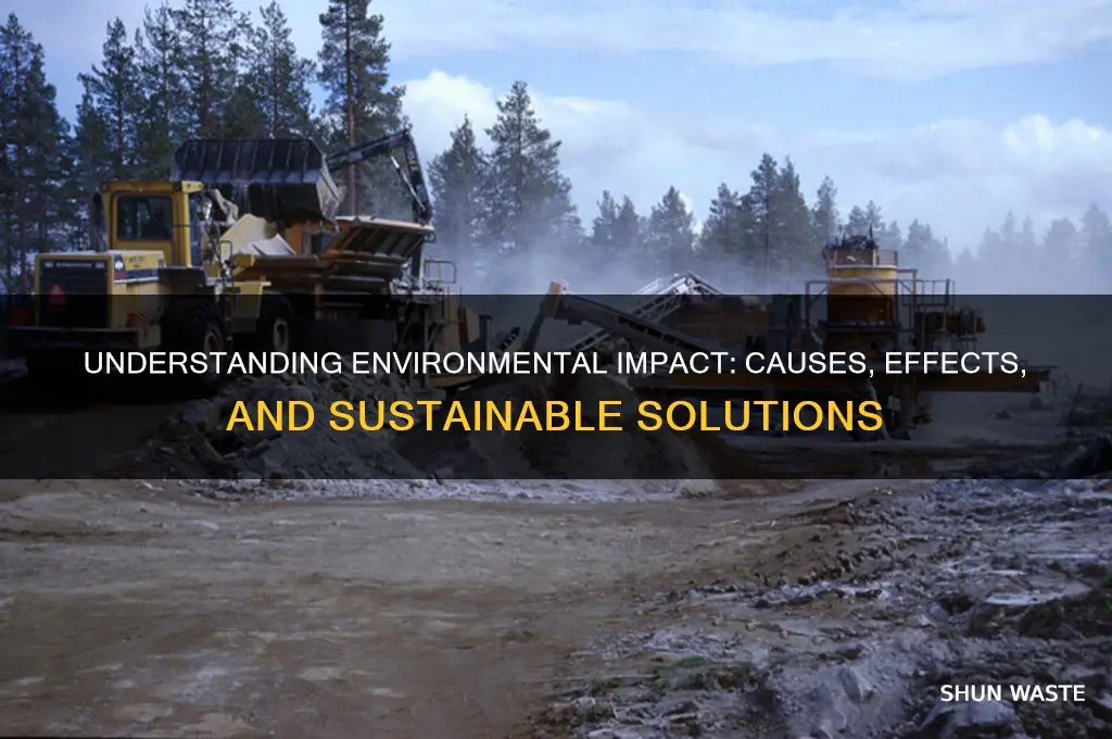 Understanding Environmental Impact: Causes, Effects, And Sustainable ...