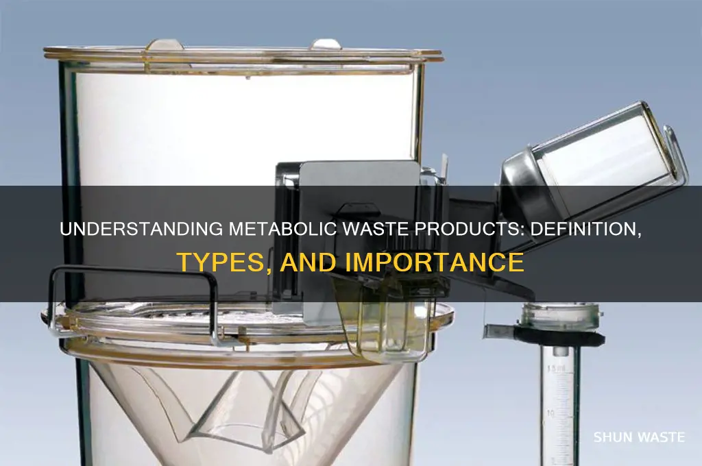 Understanding Metabolic Waste Products: Definition, Types, And ...