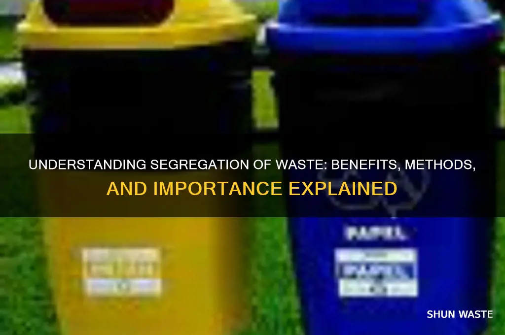 Understanding Segregation Of Waste: Benefits, Methods, And Importance ...