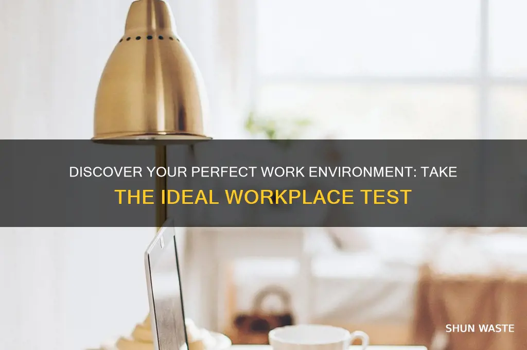 Discover Your Perfect Work Environment: Take The Ideal Workplace Test ...