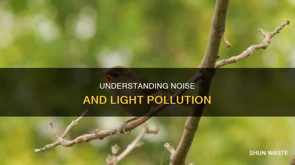Understanding Noise And Light Pollution | ShunWaste
