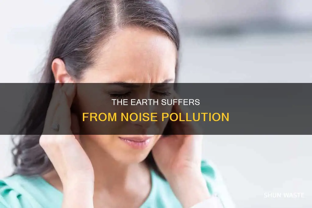 The Earth Suffers From Noise Pollution | ShunWaste