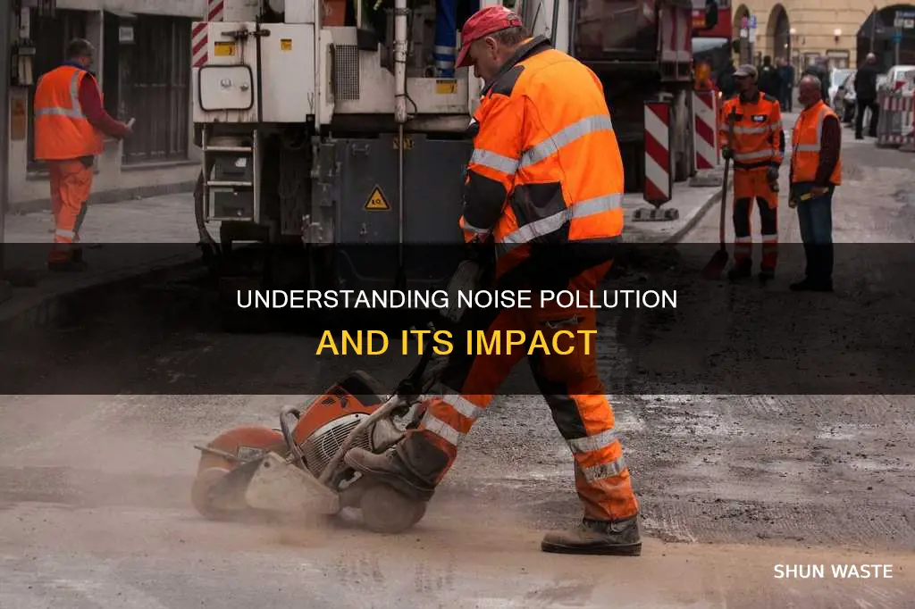 Understanding Noise Pollution And Its Impact | ShunWaste