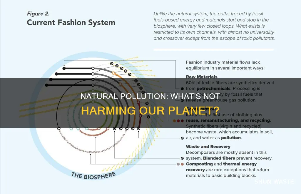Natural Pollution: What's Not Harming Our Planet? | ShunWaste