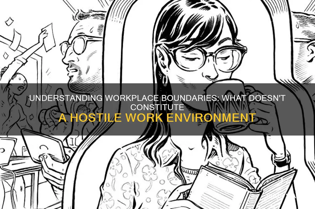 Understanding Workplace Boundaries: What Doesn't Constitute A Hostile ...