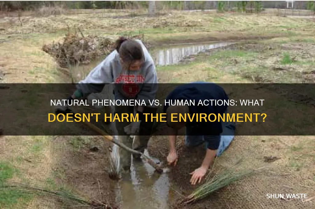 Natural Phenomena Vs. Human Actions: What Doesn't Harm The Environment ...