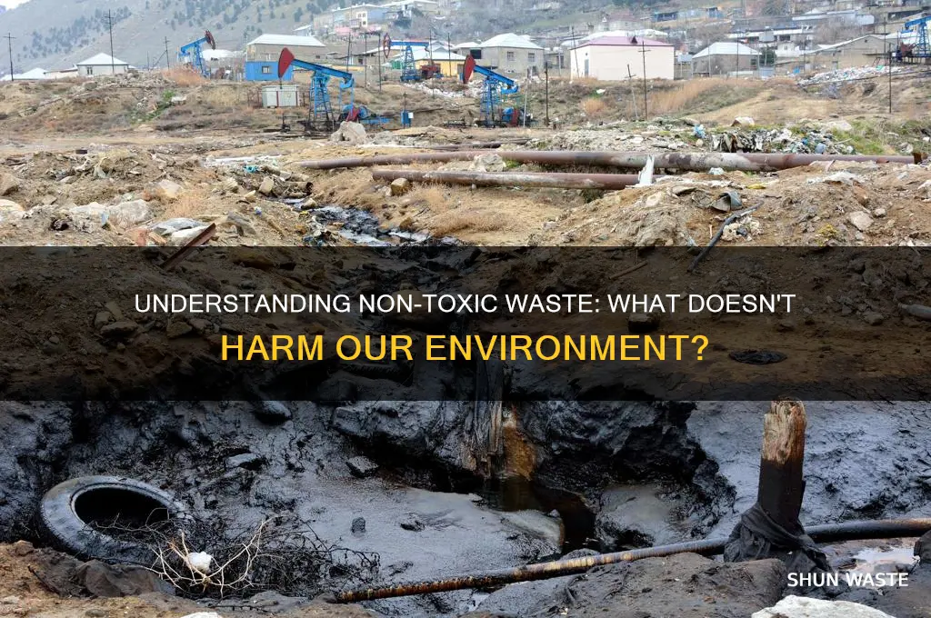 Understanding Non-Toxic Waste: What Doesn't Harm Our Environment ...