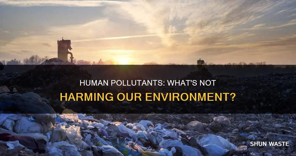 Human Pollutants: What's Not Harming Our Environment? | ShunWaste