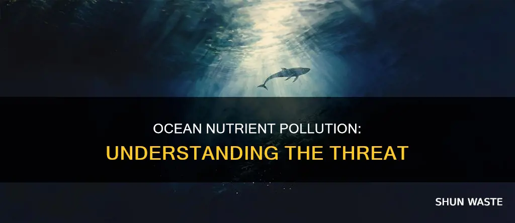 Ocean Nutrient Pollution: Understanding The Threat | ShunWaste